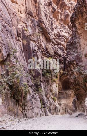 Path in Wadi Lajab canyon, Saudi Arabia Stock Photo - Alamy
