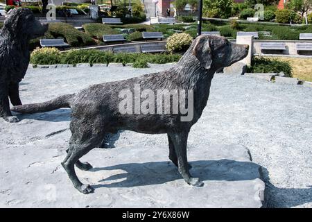 Statue of a Newfoundland dog in downtown St. John's, Newfoundland ...