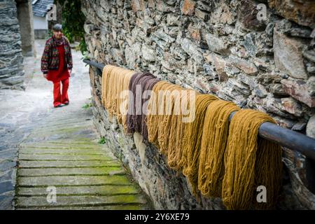 Aranese sheep wool, Bausen, Aran Valley, Pyrenees mountain range, Spain ...