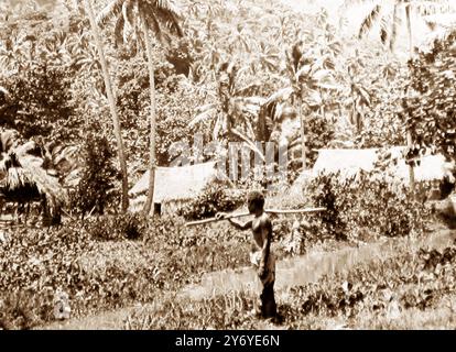 Fijian village in the Bush, Fiji, Victorian period Stock Photo - Alamy