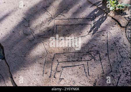 Ancient petroglyphs of Tsalka in Georgia Stock Photo - Alamy