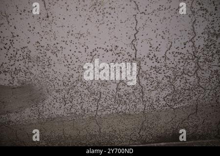 damp walls in low light in old house Stock Photo - Alamy