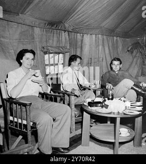 73 year old Aga Khan " Croesus " - The Begum (right) is seen at work ...