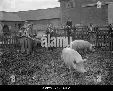 Northants weekly Farm School - Children and pigs . 1 January 1946 Stock ...