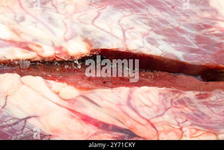 Raw frozen beef heart Stock Photo - Alamy