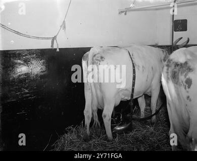 Surge , milking machine . 1940 Stock Photo - Alamy