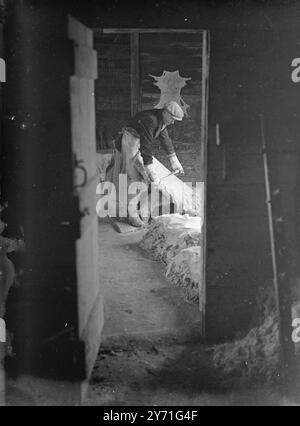 Vellum Drums . 1940 Stock Photo - Alamy