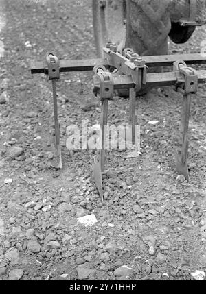 Row Crop 1940 Stock Photo - Alamy