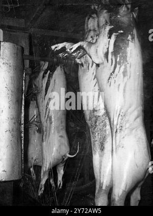 A new series of pictures showing various stages in the process of bacon ...