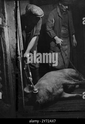 A new series of pictures showing various stages in the process of bacon ...