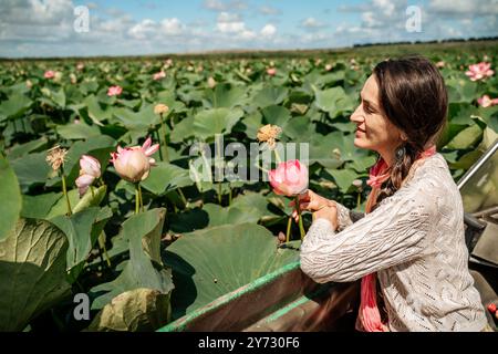 Thailand women harvest lotus flower on the lake Stock Photo - Alamy