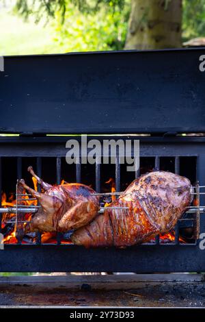 Roasting pork and turkey on spit Stock Photo - Alamy