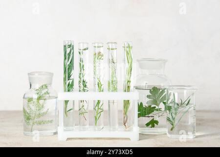 Laboratory glassware and test tubes with herbs on grunge beige ...