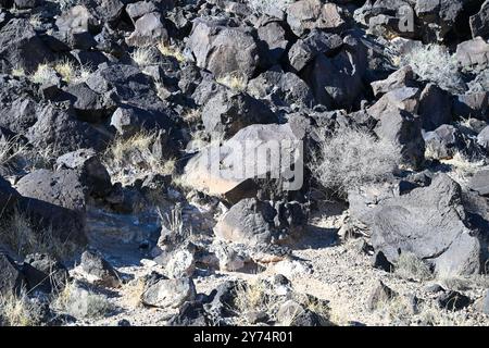 Petroglyph National Monument along West Mesa, a volcanic basalt ...