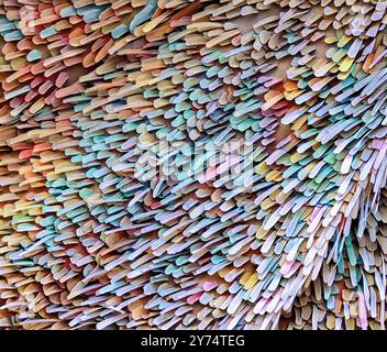 Moth wing scales, SEM Stock Photo - Alamy