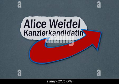 AfD-Logos und Schriftzug mit Alice Weidel AfD-Logos und Schriftzug mit ...
