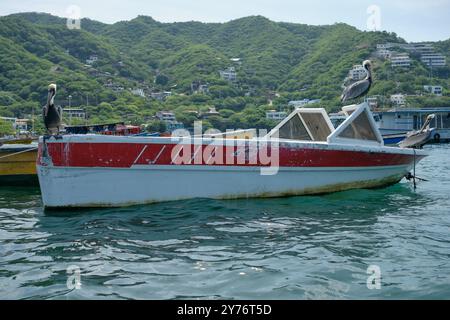 boat docking at bahia concha in Tayrona Park, Colombia Stock Photo - Alamy
