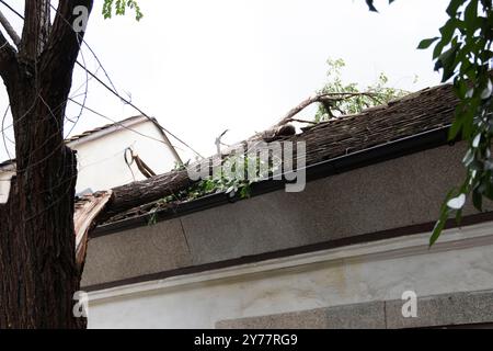Tile roof damaged by a fallen tree. Roof damage from tree that fell ...
