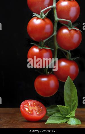 stem, tomato, stems, tomatoe, tomatoes, tomatos Stock Photo - Alamy