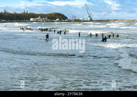 October 28, 2018, the Baltic sea, Kaliningrad oblast, Russia, fishing ...