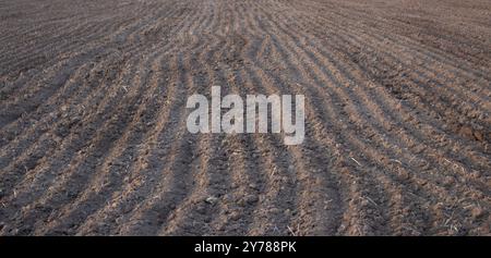 Soil on the field of agriculture preparatory to sowing, background ...