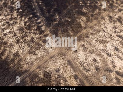 Tracks at the Cinder Hills OHV area, Flagstaff, Arizona Stock Photo - Alamy