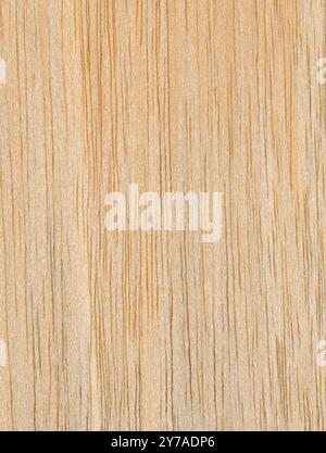 Balsa wood sheet grain texture detail background, balsa is classified ...