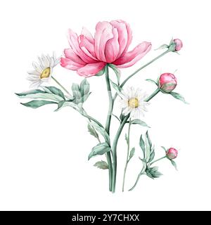 Peony bouquet floral botanical flowers. Wild spring leaf wildflower ...