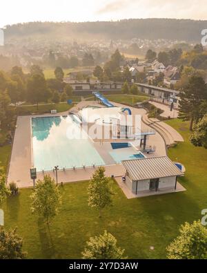 Tree in the middle of fog at dawn, with distant roe deers nearby Stock ...
