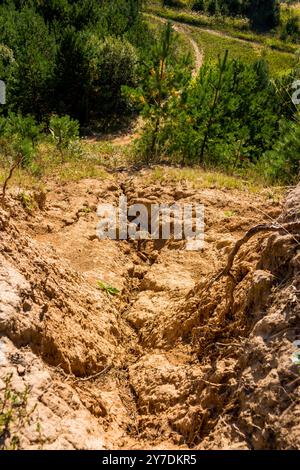 Top-down view of a rain-eroded sand slope Stock Photo - Alamy