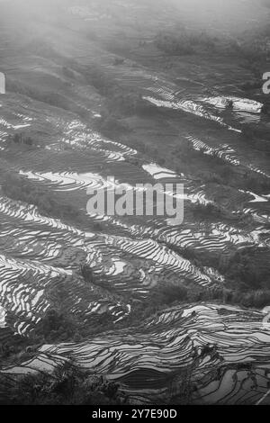 Vertical Close up on Bada rice terraces in Yunnan, China. Background ...