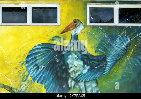 Storm Stork painted mural, Kinabatangan, Sabah, Malaysia Stock Photo ...