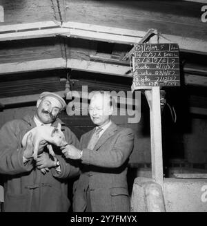 Jimmy Edwards, actor and comedian with Godfrey Winn, the writer and ...