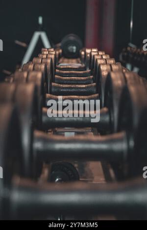 Dumbbells in a row at gym Dark toned Healthy lifestyle fitness concept ...