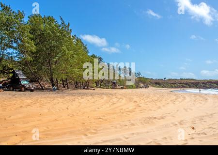 Camping on Little Bondi Beach (Baringura Stock Photo - Alamy