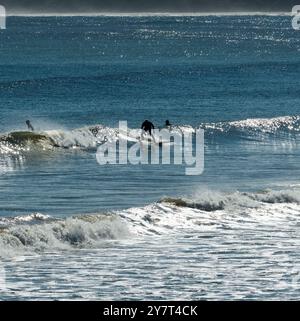 People surfing at Filey, East Yorkshire Coast, northern England, UJK ...