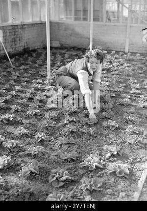 Jean Kent on farm at Hartfield near East Grinstead February 21 1950 ...