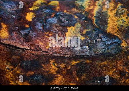 Macro photography of a surface with rust creating shapes and relief ...