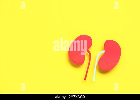 Paper kidneys on yellow background. Banner for World Kidney Day Stock ...