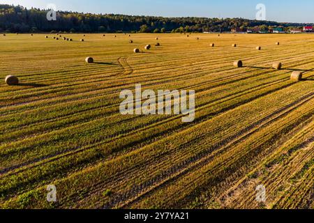 Low-altitude view of harvested agricultural field with hay bales Stock ...