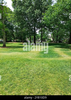 Architectural Marvel and Lush Greenery Surrounding Washington National ...