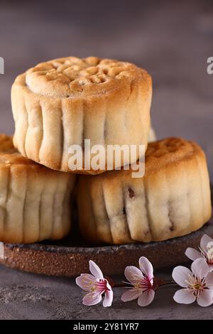 moon cake yuebing traditional chinese holiday food Stock Photo - Alamy