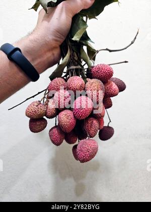 Fresh red lychee fruits in gray ceramic bowl with green leaves on ...