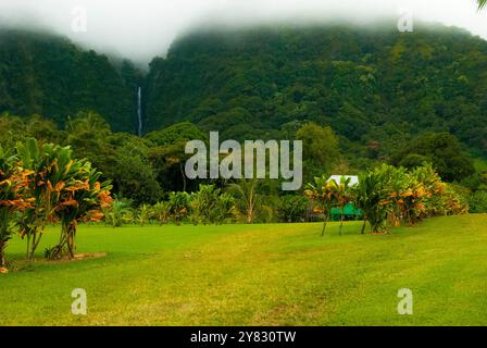 The countryside in Hana, Maui, Hawaii Stock Photo - Alamy