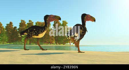 Miocene Kelenken Birds - Two Kelenken "Terror Birds" come down to a ...