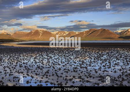 Fjord, low tide, stones, mountains, evening light, cloudy mood ...
