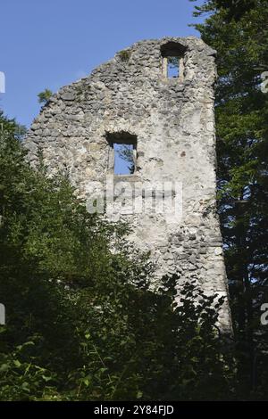 Castle ruin Hohenberg Austria Stock Photo - Alamy