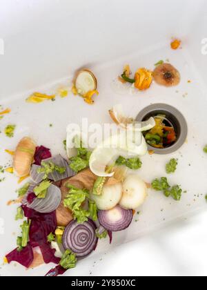 Vegetable Scraps in a Sink Ready for Disposal After Meal Preparation ...