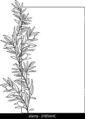 Olive rectangular, square Frame. Hand drawn Olive Branches and Fruits ...