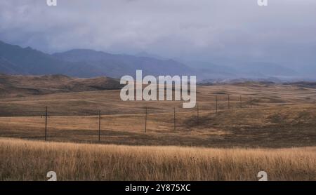 Electric poles in a yellow autumn forest Stock Photo - Alamy